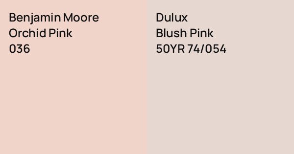 Benjamin Moore Orchid Pink vs. Dulux Blush Pink comparison