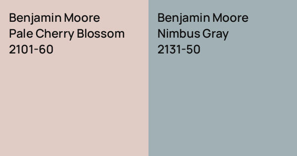 Benjamin Moore Pale Cherry Blossom vs. Benjamin Moore Nimbus Gray ...