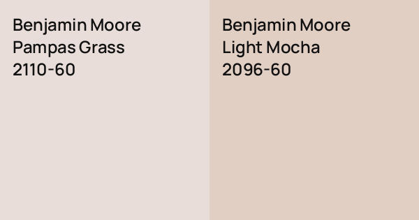 Benjamin Moore Pampas Grass vs. Benjamin Moore Light Mocha comparison