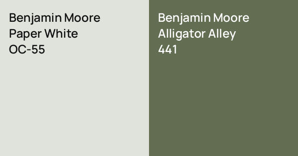 Benjamin Moore Paper White vs. Benjamin Moore Alligator Alley comparison