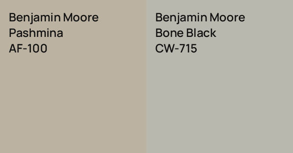 Benjamin Moore Pashmina vs. Benjamin Moore Bone Black comparison