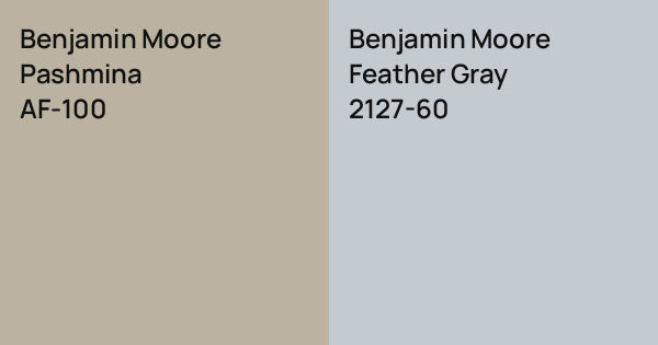 Benjamin Moore Pashmina vs. Benjamin Moore Feather Gray comparison