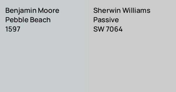 Benjamin Moore Pebble Beach vs. Sherwin Williams Passive comparison