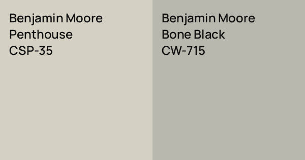 Benjamin Moore Penthouse vs. Benjamin Moore Bone Black comparison