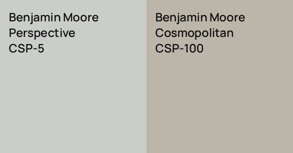 Benjamin Moore Perspective vs. Benjamin Moore Cosmopolitan comparison