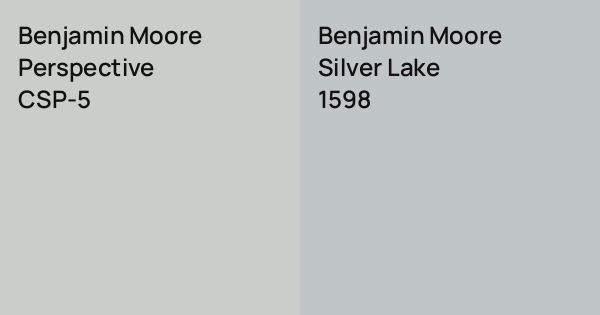 Benjamin Moore Perspective vs. Benjamin Moore Silver Lake comparison