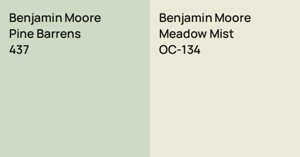 Benjamin Moore Pine Barrens vs. Benjamin Moore Meadow Mist comparison