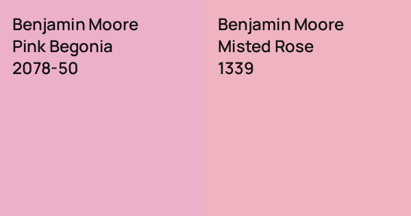 Benjamin Moore Pink Begonia vs. Benjamin Moore Misted Rose comparison