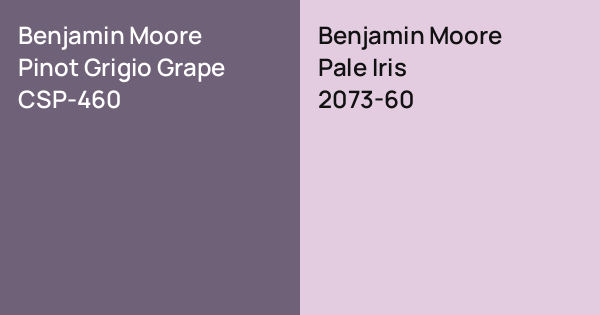 Benjamin Moore Pinot Grigio Grape vs. Benjamin Moore Pale Iris comparison