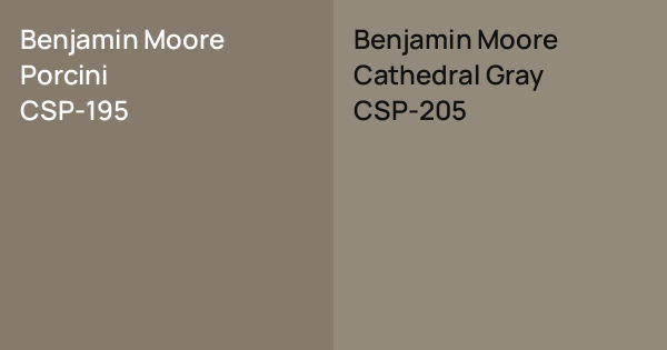 Benjamin Moore Porcini vs. Benjamin Moore Cathedral Gray comparison