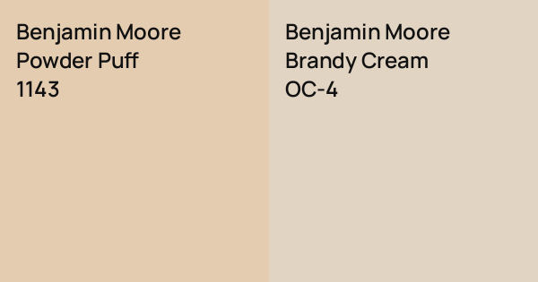 Benjamin Moore Powder Puff vs. Benjamin Moore Brandy Cream comparison
