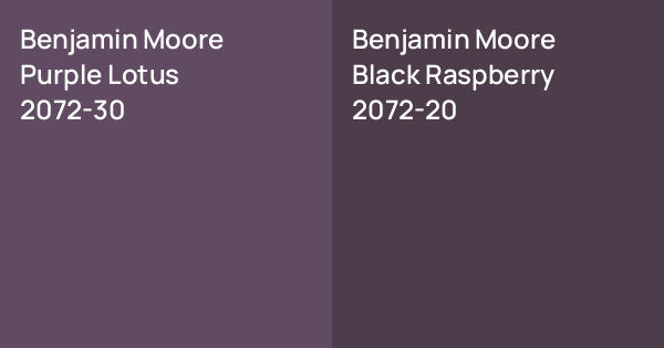 Benjamin Moore Purple Lotus vs. Benjamin Moore Black Raspberry comparison