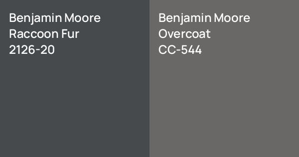 Benjamin Moore Raccoon Fur vs. Benjamin Moore Overcoat comparison