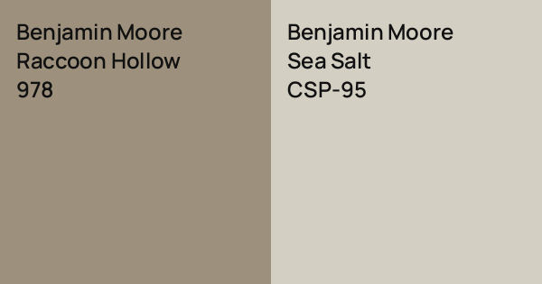 Benjamin Moore Raccoon Hollow vs. Benjamin Moore Sea Salt comparison