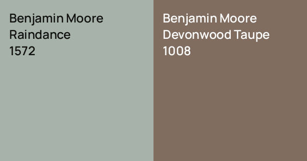 Benjamin Moore Raindance vs. Benjamin Moore Devonwood Taupe comparison