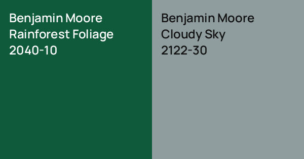 Benjamin Moore Rainforest Foliage vs. Benjamin Moore Cloudy Sky comparison