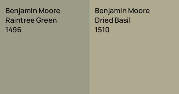 Benjamin Moore Raintree Green vs. Benjamin Moore Dried Basil comparison
