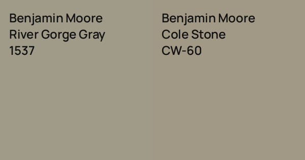 Benjamin Moore River Gorge Gray vs. Benjamin Moore Cole Stone comparison
