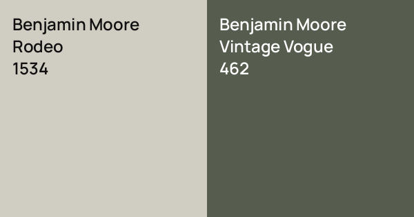Benjamin Moore Rodeo vs. Benjamin Moore Vintage Vogue comparison