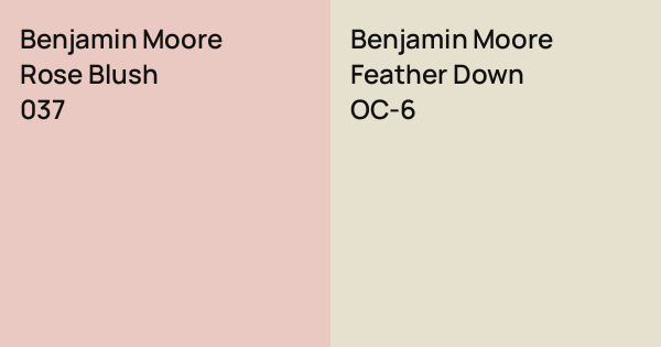 Benjamin Moore Rose Blush vs. Benjamin Moore Feather Down comparison