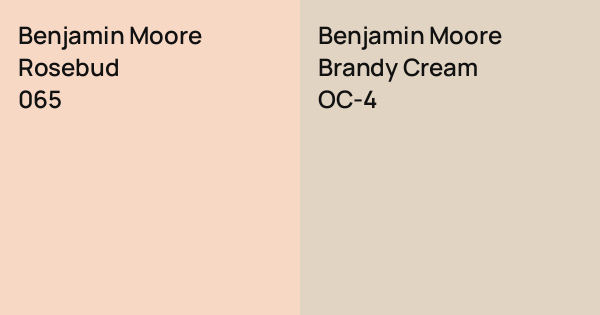 Benjamin Moore Rosebud vs. Benjamin Moore Brandy Cream comparison