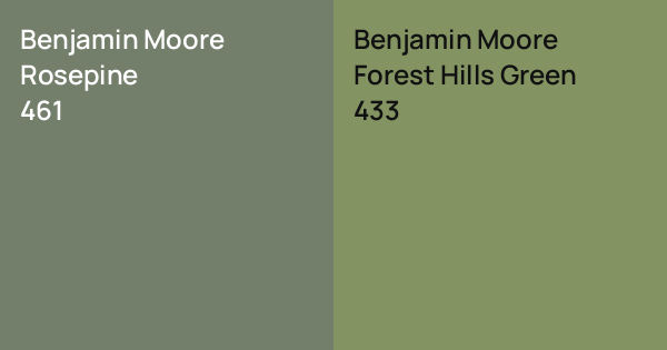 Benjamin Moore Rosepine vs. Benjamin Moore Forest Hills Green comparison