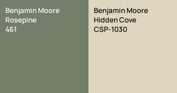 Benjamin Moore Rosepine vs. Benjamin Moore Hidden Cove comparison