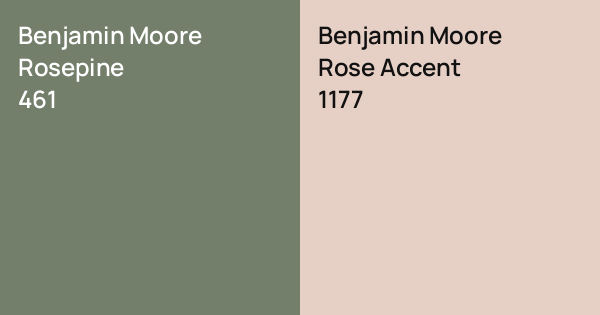 Benjamin Moore Rosepine vs. Benjamin Moore Rose Accent comparison