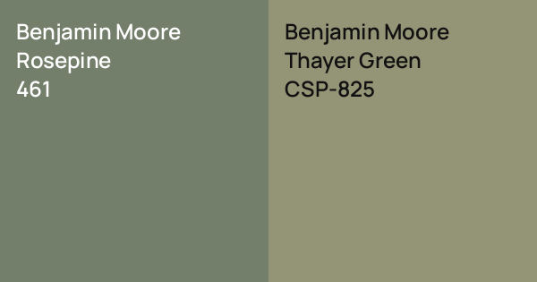 Benjamin Moore Rosepine vs. Benjamin Moore Thayer Green comparison