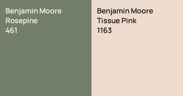 Benjamin Moore Rosepine vs. Benjamin Moore Tissue Pink comparison