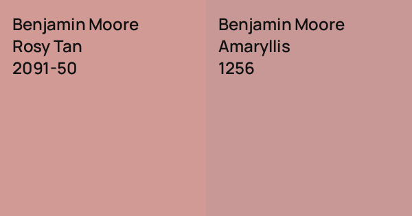 Benjamin Moore Rosy Tan vs. Benjamin Moore Amaryllis comparison