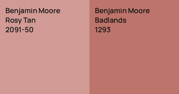 Benjamin Moore Rosy Tan vs. Benjamin Moore Badlands comparison