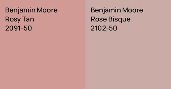 Benjamin Moore Rosy Tan vs. Benjamin Moore Rose Bisque comparison