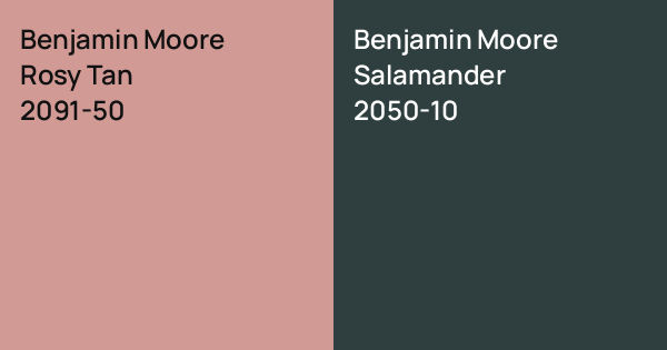 Benjamin Moore Rosy Tan vs. Benjamin Moore Salamander comparison