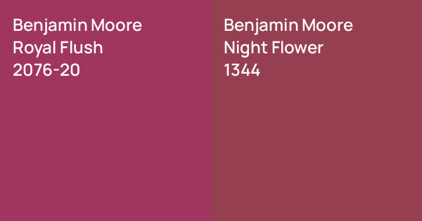 Benjamin Moore Royal Flush vs. Benjamin Moore Night Flower comparison