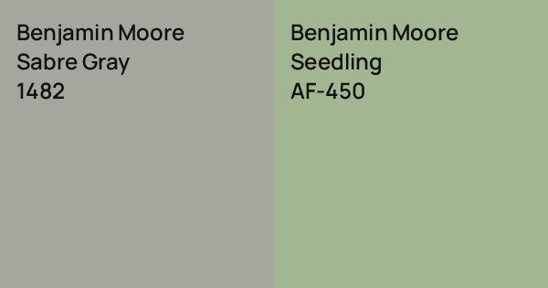 Benjamin Moore Sabre Gray vs. Benjamin Moore Seedling comparison