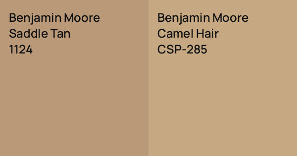 Benjamin Moore Saddle Tan vs. Benjamin Moore Camel Hair comparison