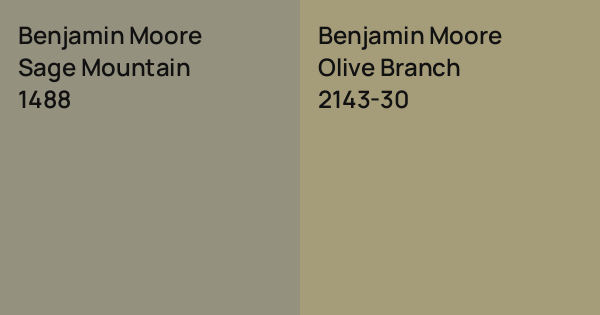Benjamin Moore Sage Mountain vs. Benjamin Moore Olive Branch comparison