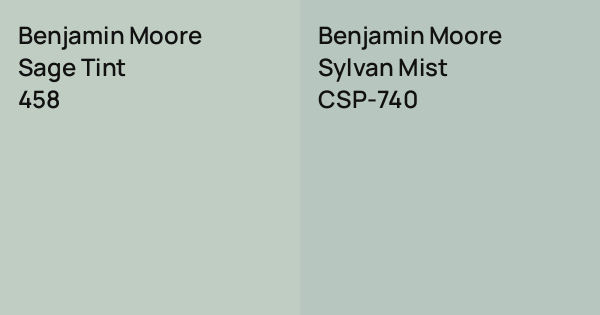Benjamin Moore Sage Tint vs. Benjamin Moore Sylvan Mist comparison