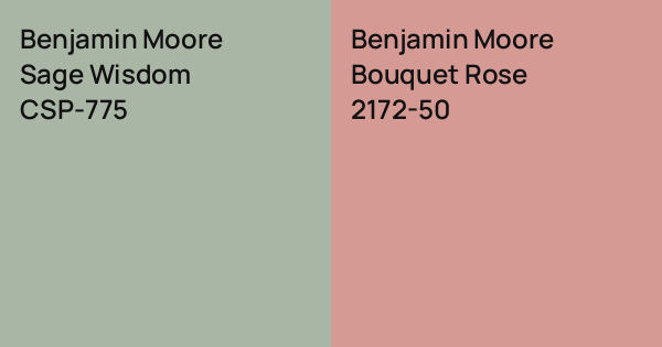 Benjamin Moore Sage Wisdom vs. Benjamin Moore Bouquet Rose comparison
