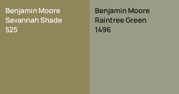 Benjamin Moore Savannah Shade vs. Benjamin Moore Raintree Green comparison