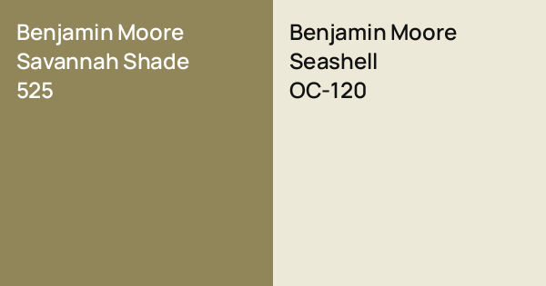 Benjamin Moore Savannah Shade vs. Benjamin Moore Seashell comparison