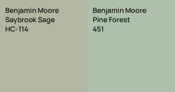 Benjamin Moore Saybrook Sage vs. Benjamin Moore Pine Forest comparison