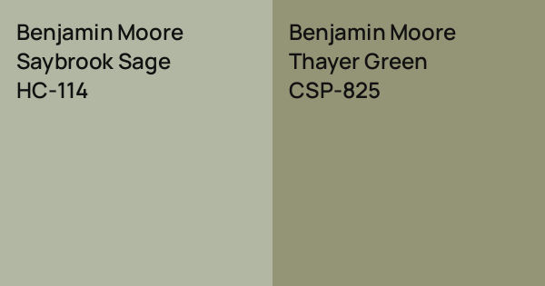 Benjamin Moore Saybrook Sage vs. Benjamin Moore Thayer Green comparison
