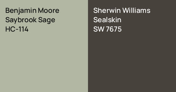 Benjamin Moore Saybrook Sage vs. Sherwin Williams Sealskin comparison
