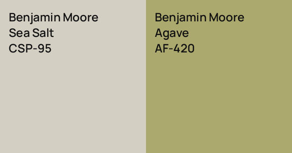 Benjamin Moore Sea Salt vs. Benjamin Moore Agave comparison