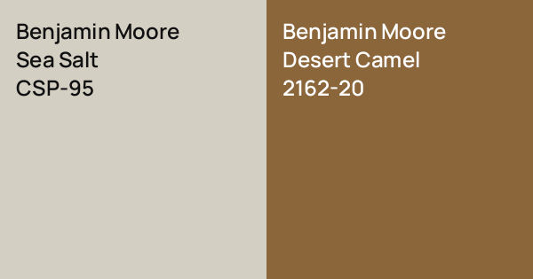 Benjamin Moore Sea Salt vs. Benjamin Moore Desert Camel comparison
