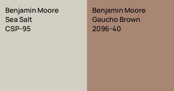 Benjamin Moore Sea Salt vs. Benjamin Moore Gaucho Brown comparison