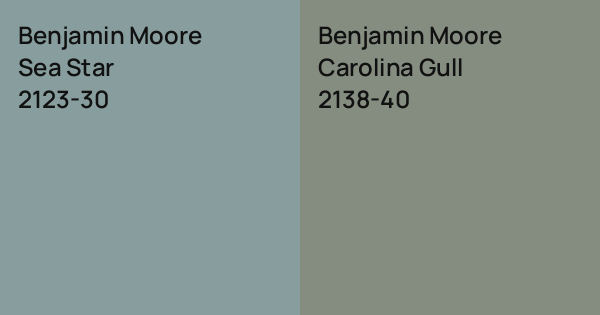 Benjamin Moore Sea Star vs. Benjamin Moore Carolina Gull comparison