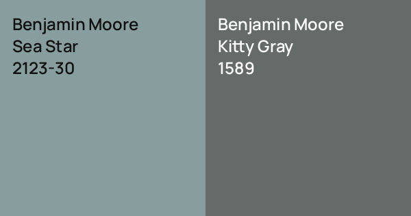 Benjamin Moore Sea Star vs. Benjamin Moore Kitty Gray comparison
